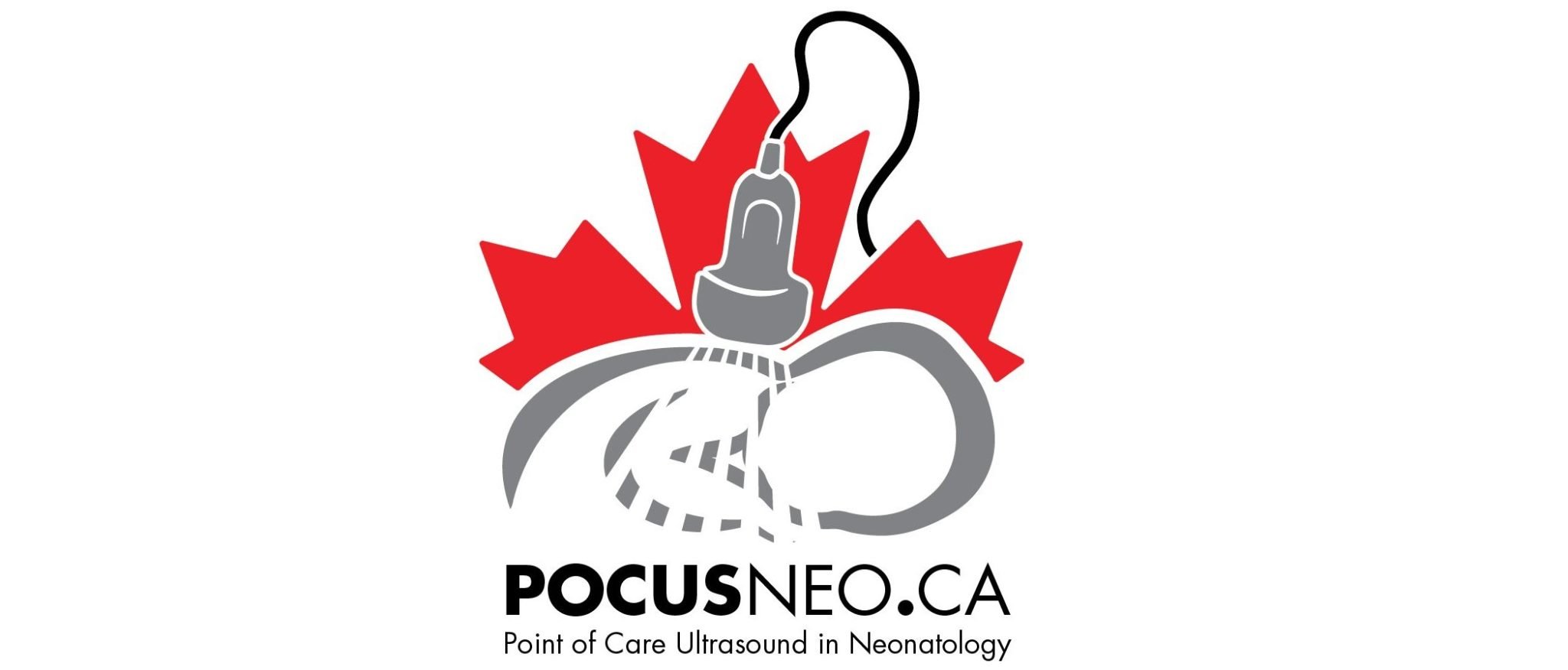 POCUS NEO 2019 (International Neonatal Point of Care Ultrasound ...